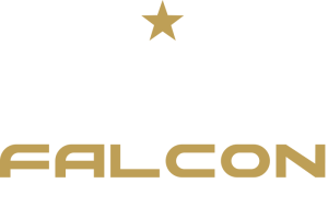 Falcon America | Worldwide Freight Forwarders +20years