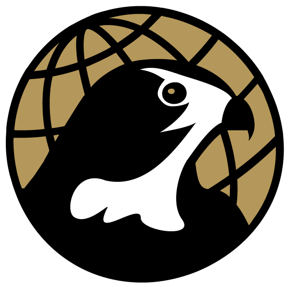 Falcon America - Worldwide Freight Forwarders +20years